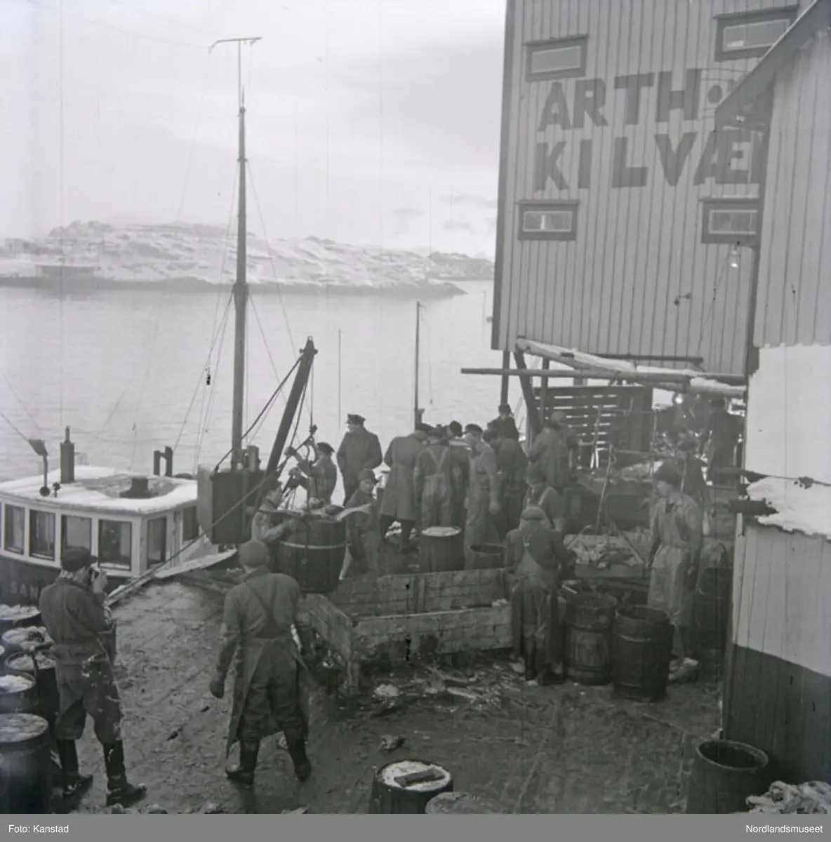 Fiskemottak; sløying av fisk - Nordlandsmuseet / DigitaltMuseum